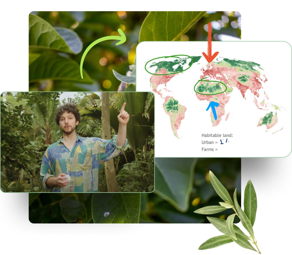 AimHi Earth | Transformative Sustainability Training
