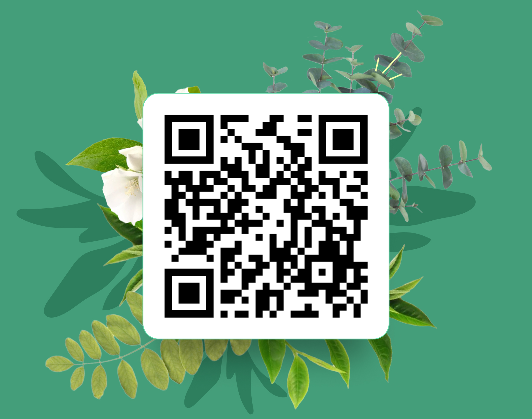 BAFTA albert x AimHi Earth Climate Essentials Masterclass | Action Pack