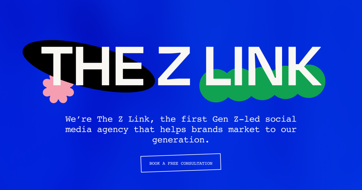 The Z Link | Gen Z Marketing Agency