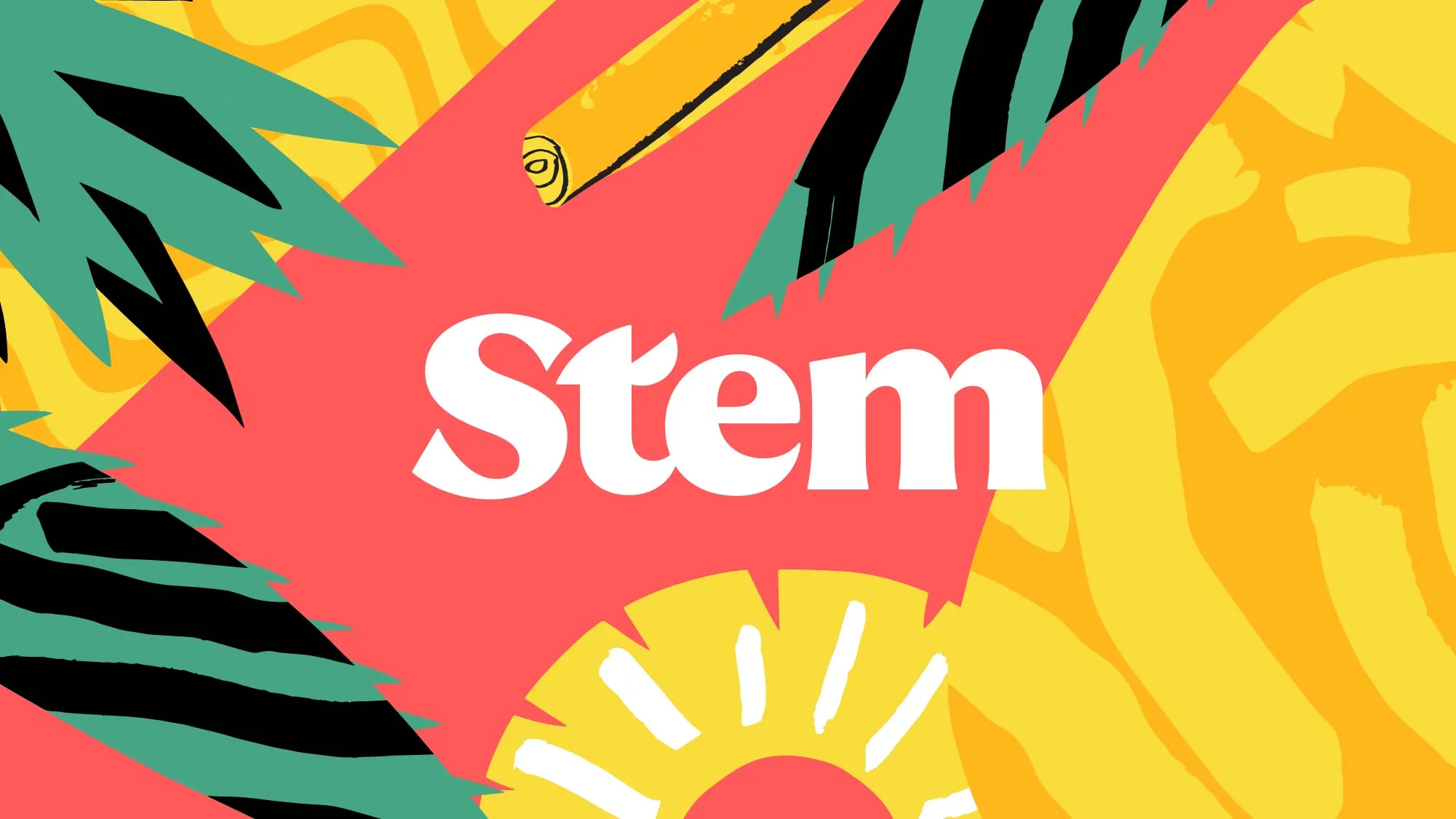 Stem Ciders Branding Better-For-You Cider I Interact