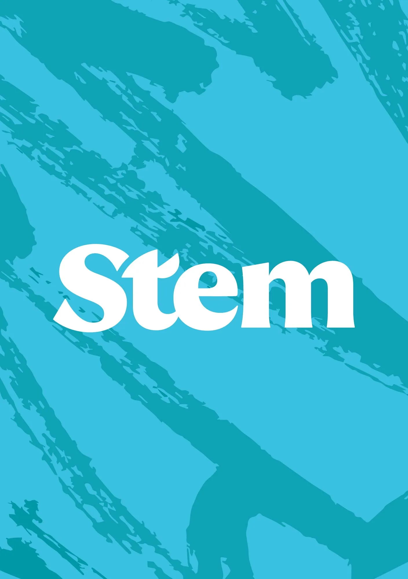 Stem Ciders Branding Better-For-You Cider I Interact