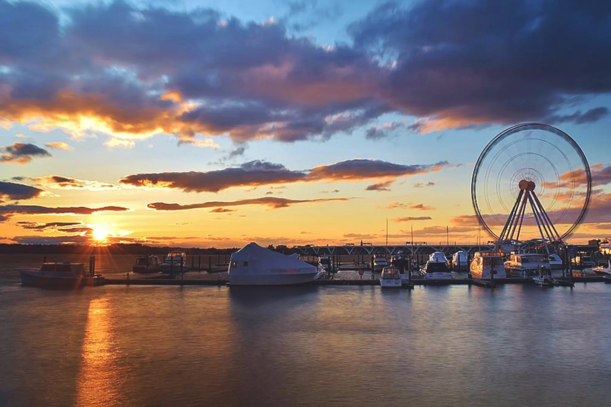 Marinas - Marinalife