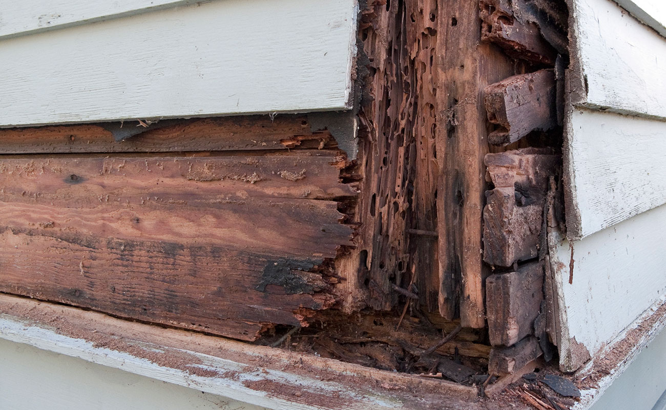 Cost for basic recladding | Project Estimates