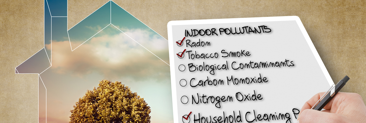 Indoor air pollution: what you need to know|Refresh Renovations ...