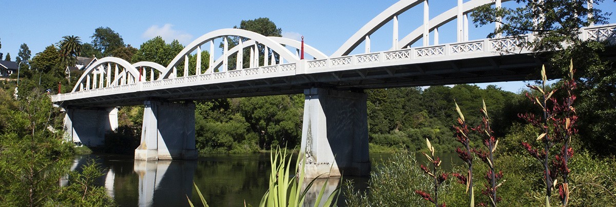 Living and Renovating in Hamilton | Inspiration & Advice