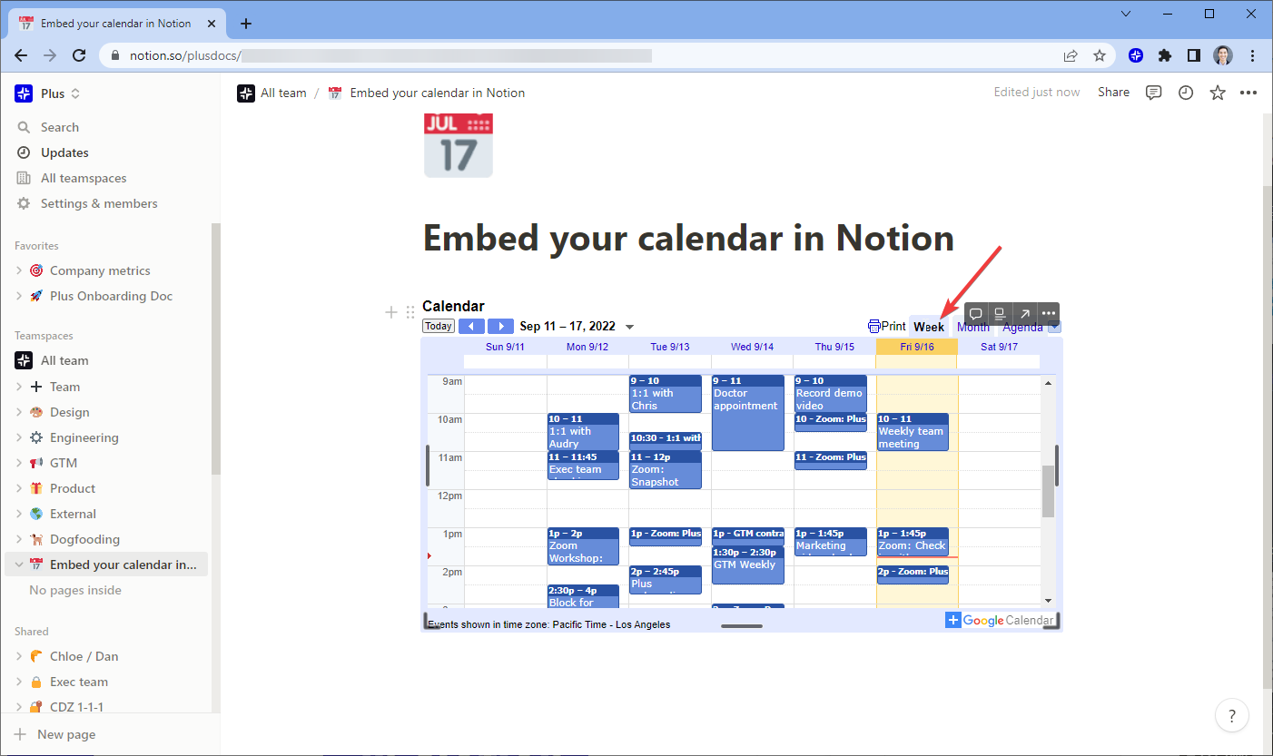 How To Embed Google Calendar In Notion Plus