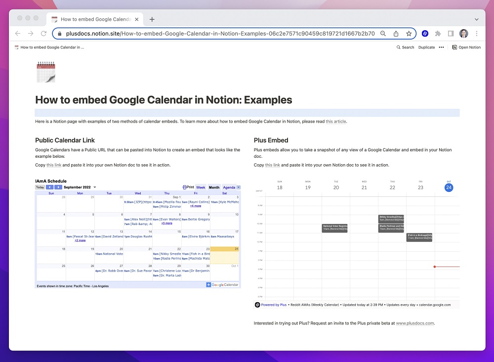 How to embed Google Calendar in Notion - Plus