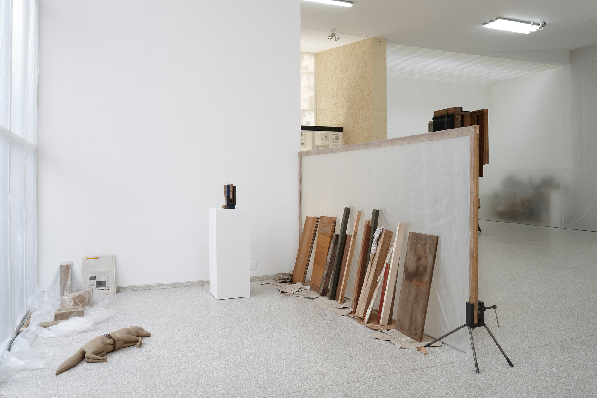 Exhibitions