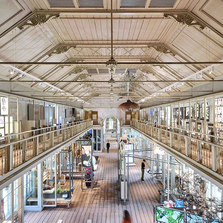 Groote Museum ARTIS | SVP architectuur en stedenbouw - Renovatie van ...