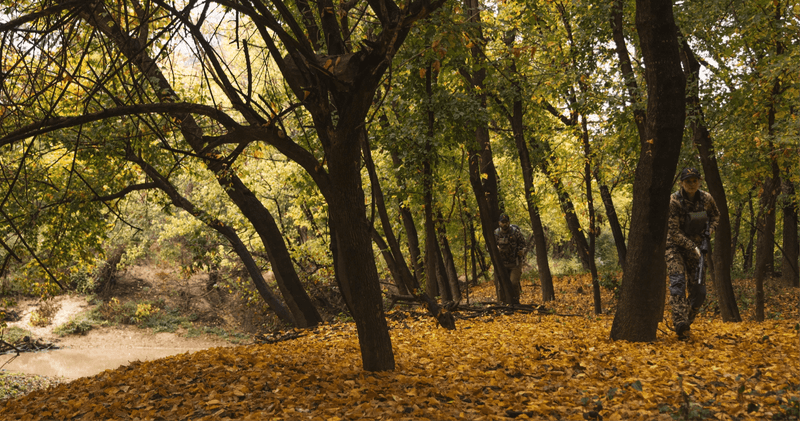 Discover the ultimate Red Stag hunting experience with Venator New ...