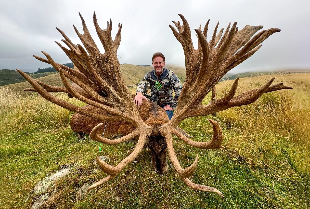 Red Stag Hunting in New Zealand | Hunt Red Deer in NZ