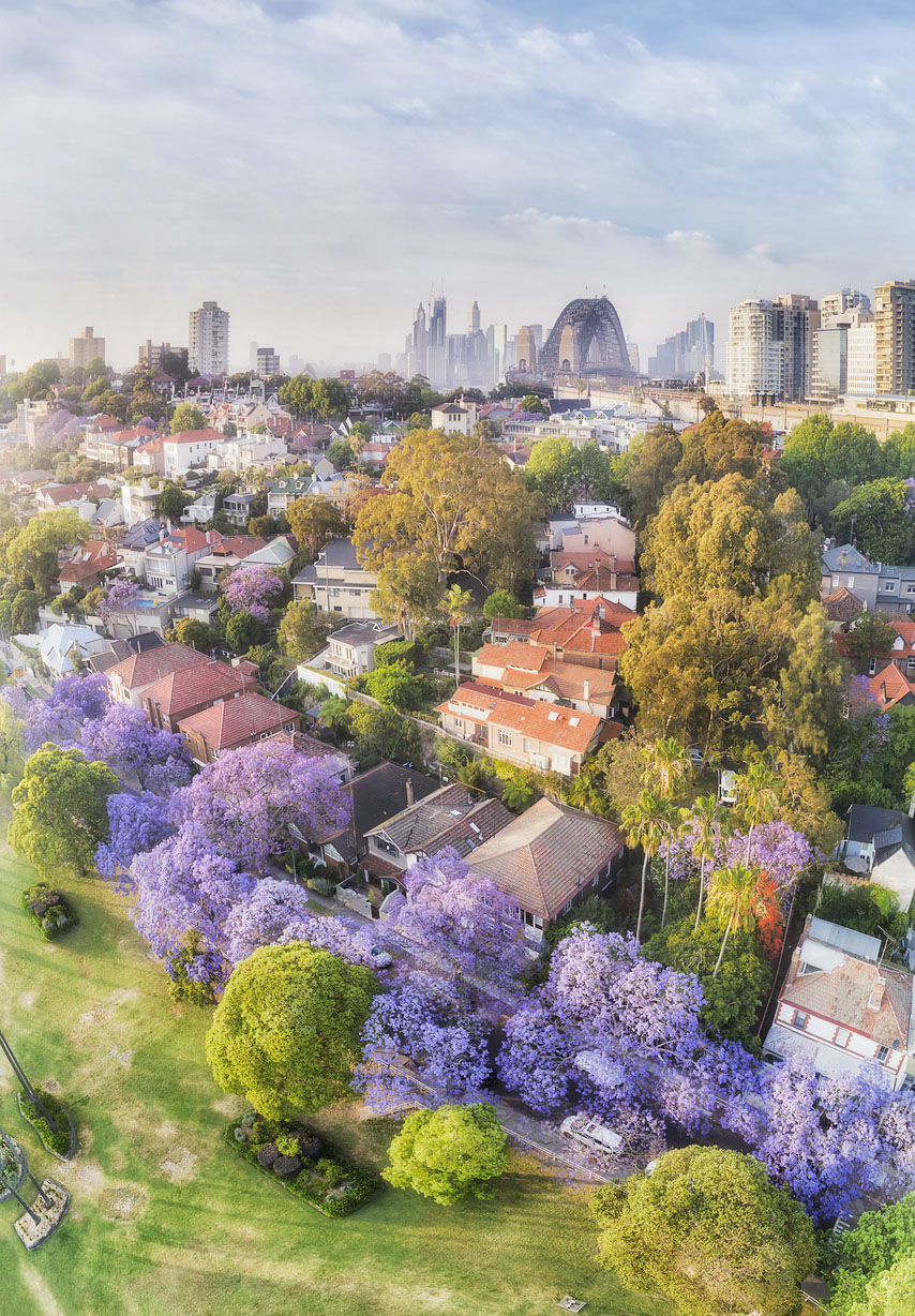 Top suburbs for high rental yields in NSW and QLD | DPN