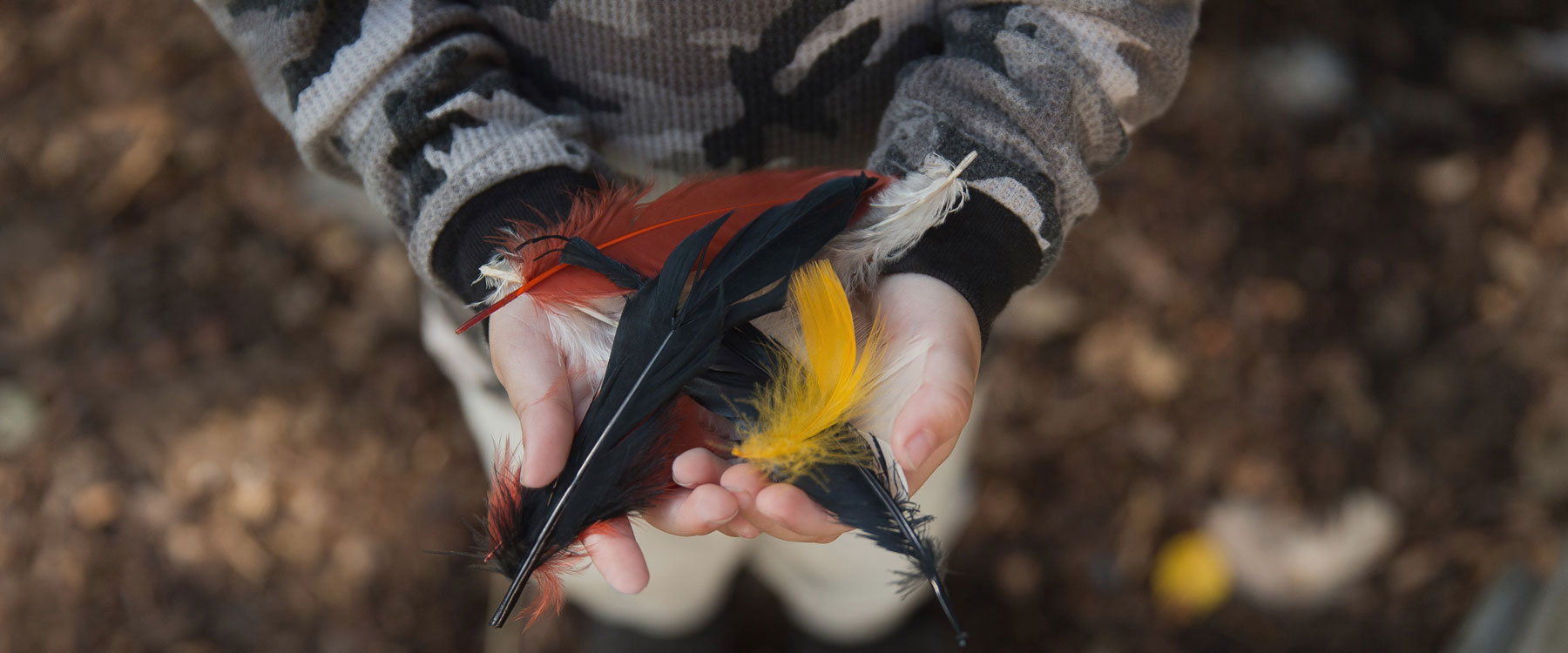 Flight | The Story of Flight