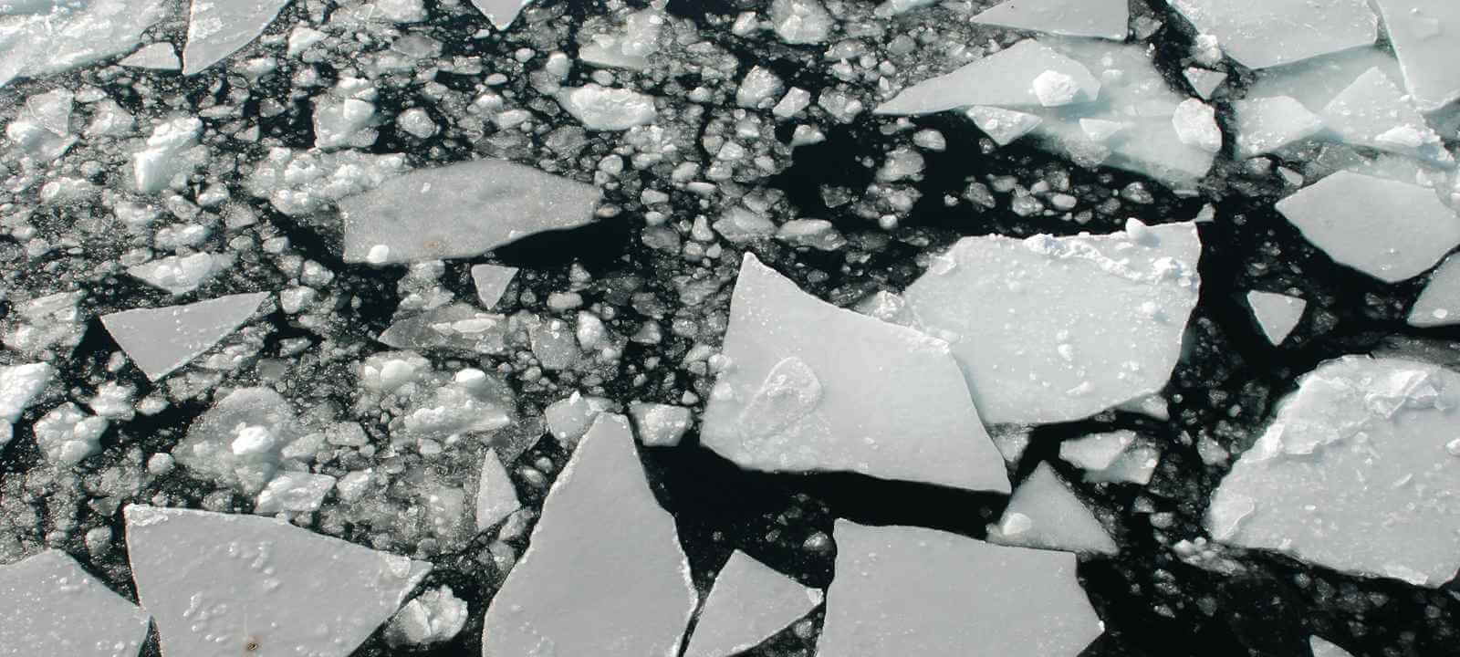 The Cloud Breaks the Ice on Legacy Procurement Software - Tradogram