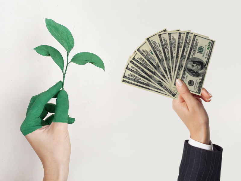 How the Best Procurement Software Can Help With Sustainable Purchasing ...