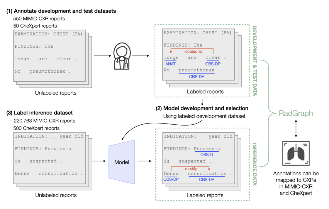 Empowering Medical Research with Precision Data Labeling
