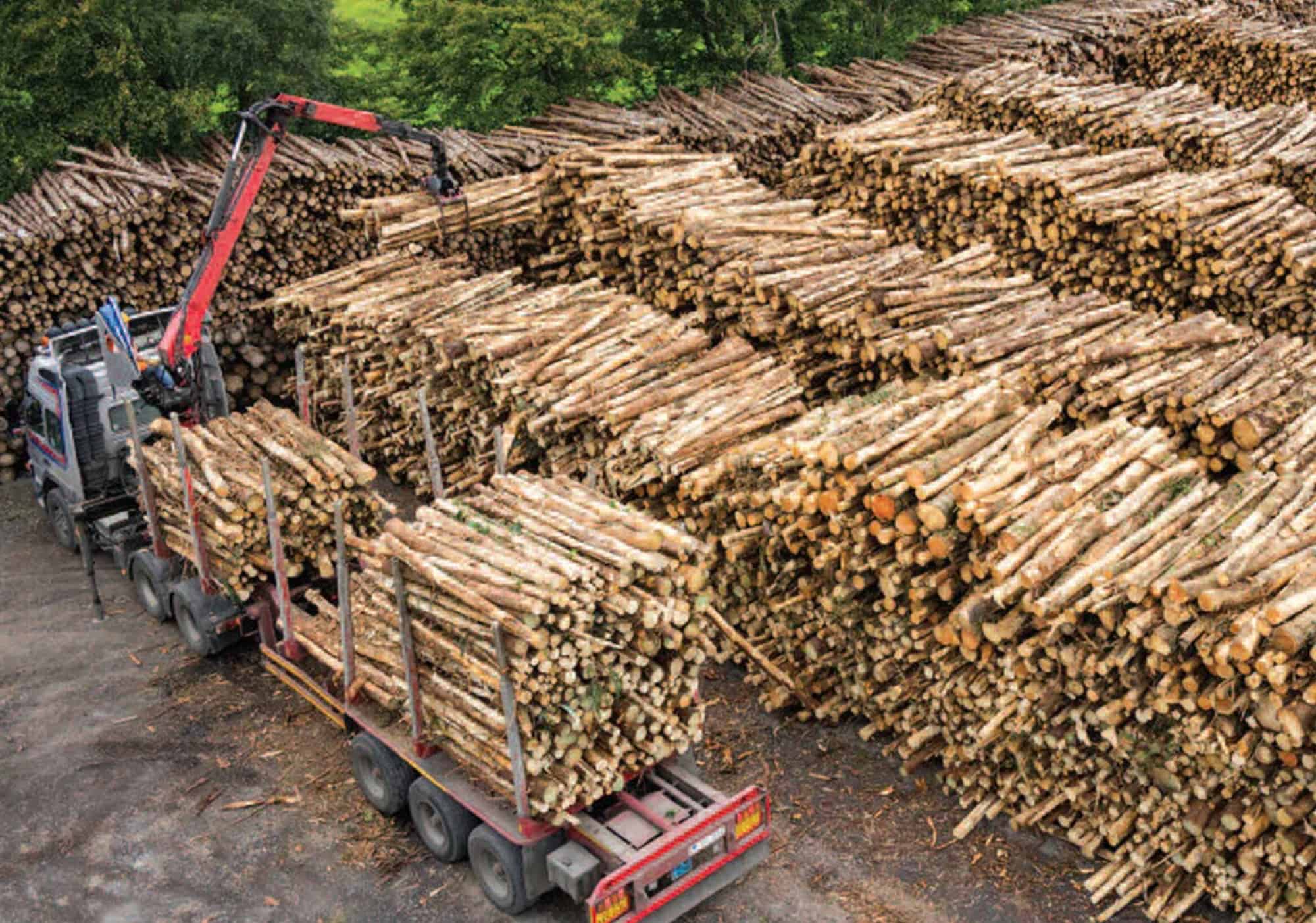 Timber Harvesting | Euroforest Ireland Limited