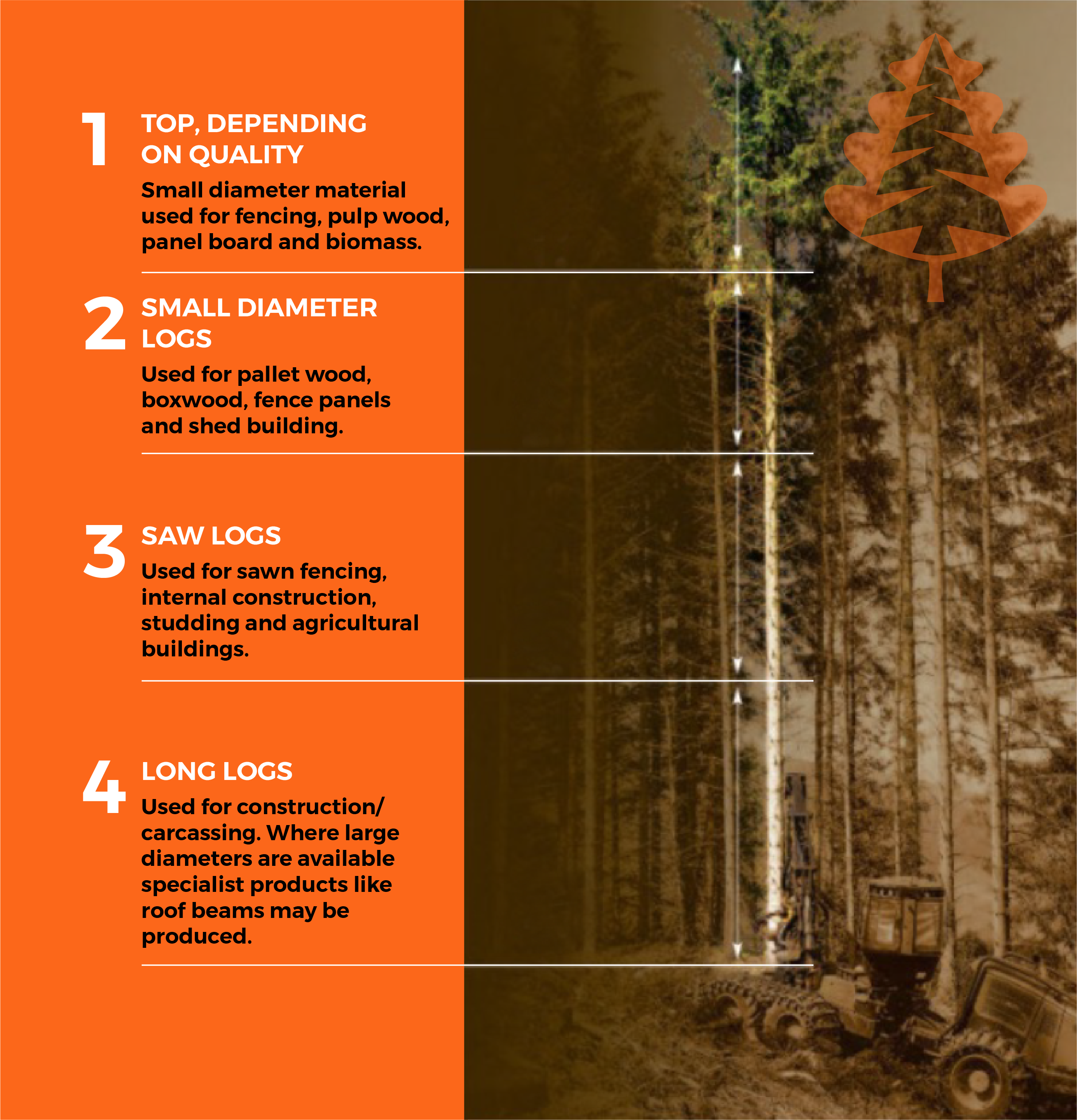 Timber Marketing & Sales | Euroforest Ireland Limited
