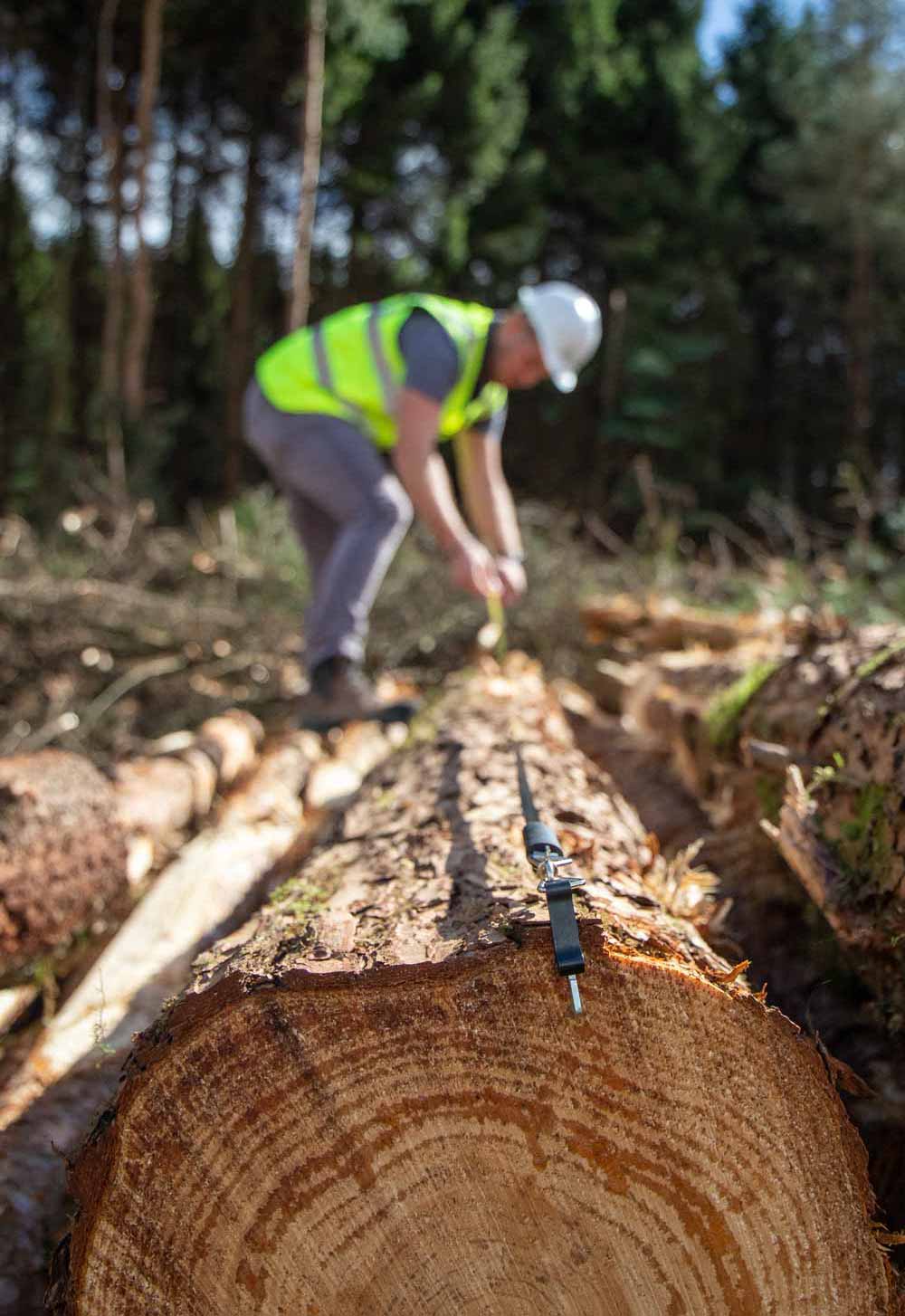 Timber Marketing & Sales | Euroforest Ireland Limited