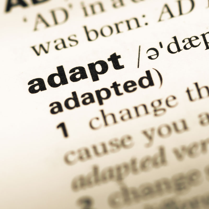 AQai Adaptability Leadership Articles