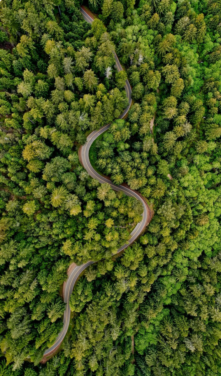 xTree - Transforme sua gestão