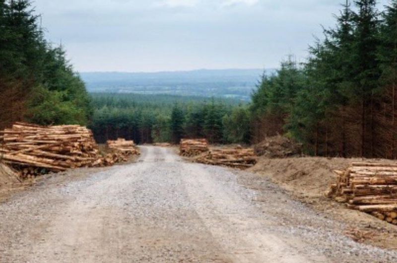 Euroforest Ireland