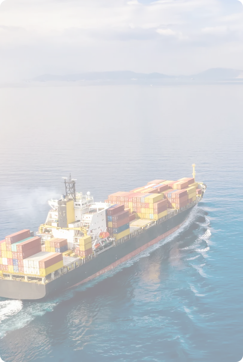 API Overview | VIZION