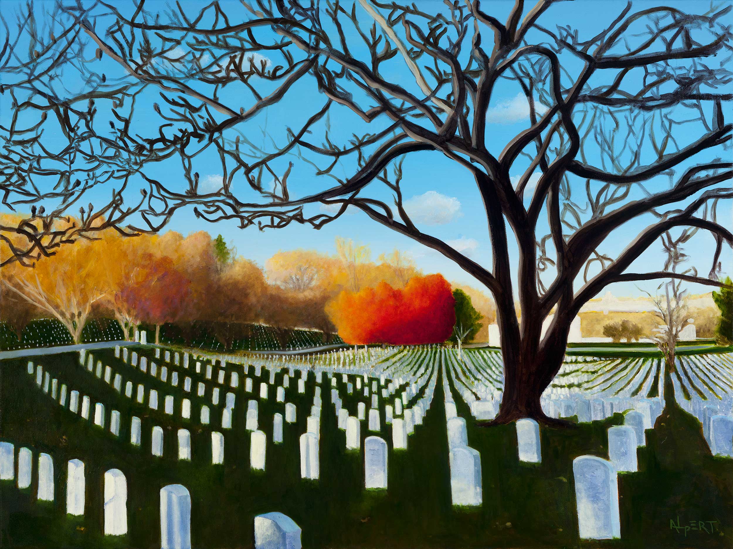 Fields of Honor | Steve Alpert Art
