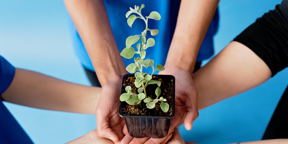Why Excellent Customer Service Is Important for Non-profits | Anedot
