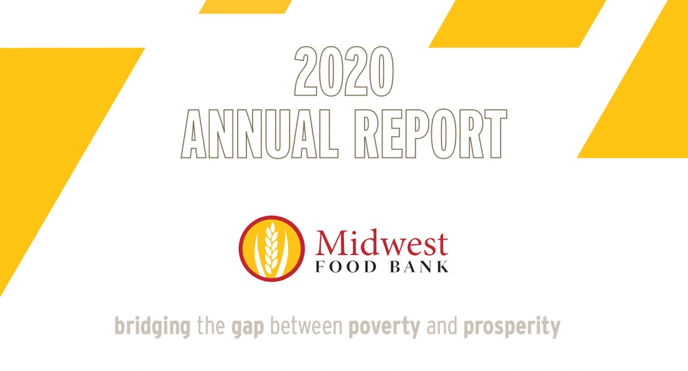 9 Great Annual Report Examples (And Why They're Great) | Anedot