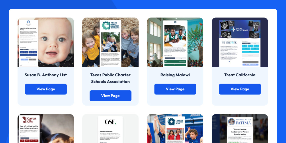 Action Pages: The Future of Digital Organizing & Relationship Building | Anedot