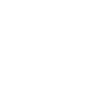 Muslim Wellness Network - Develop. Serve. Empower.