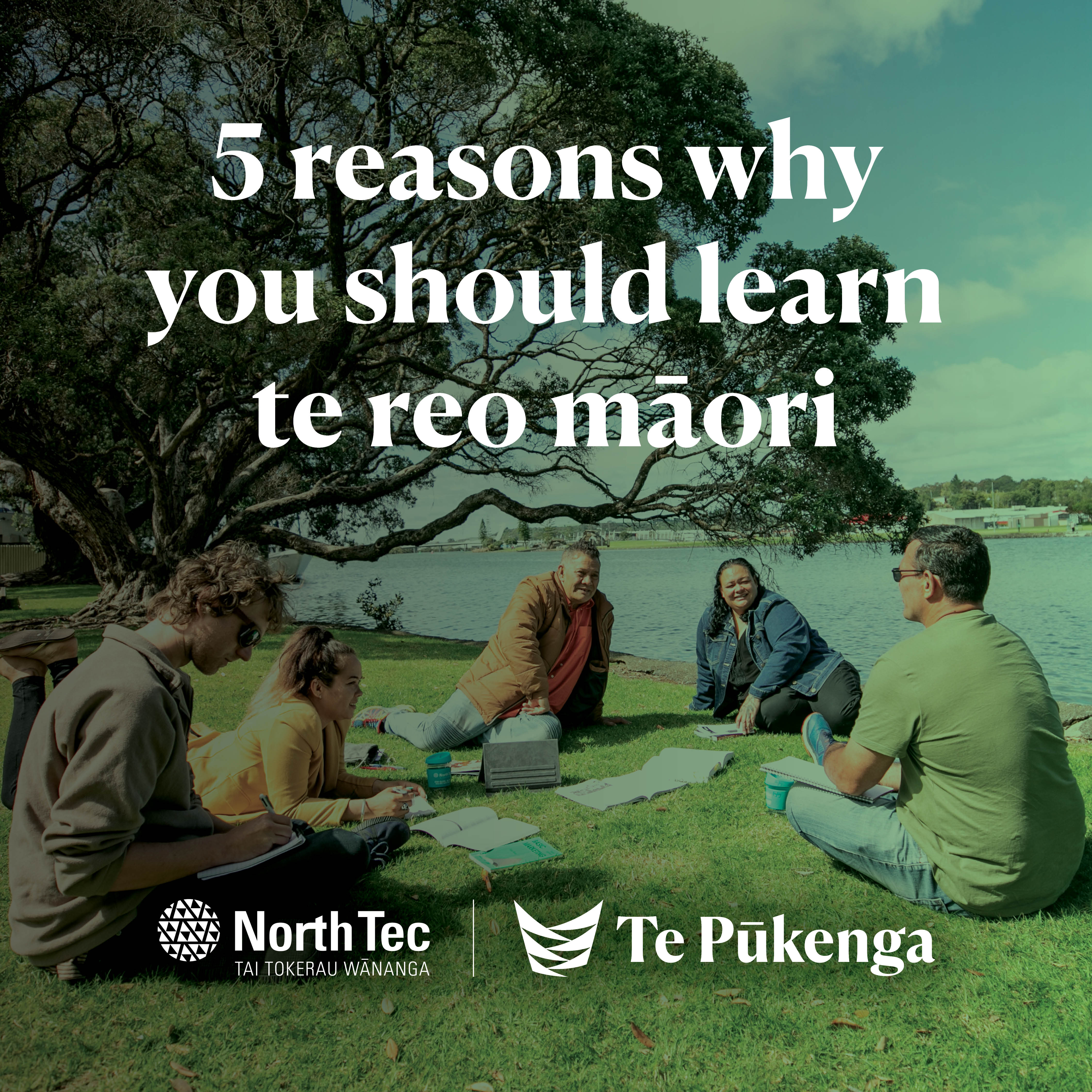 5 Reasons to Learn Te Reo Māori - NorthTec