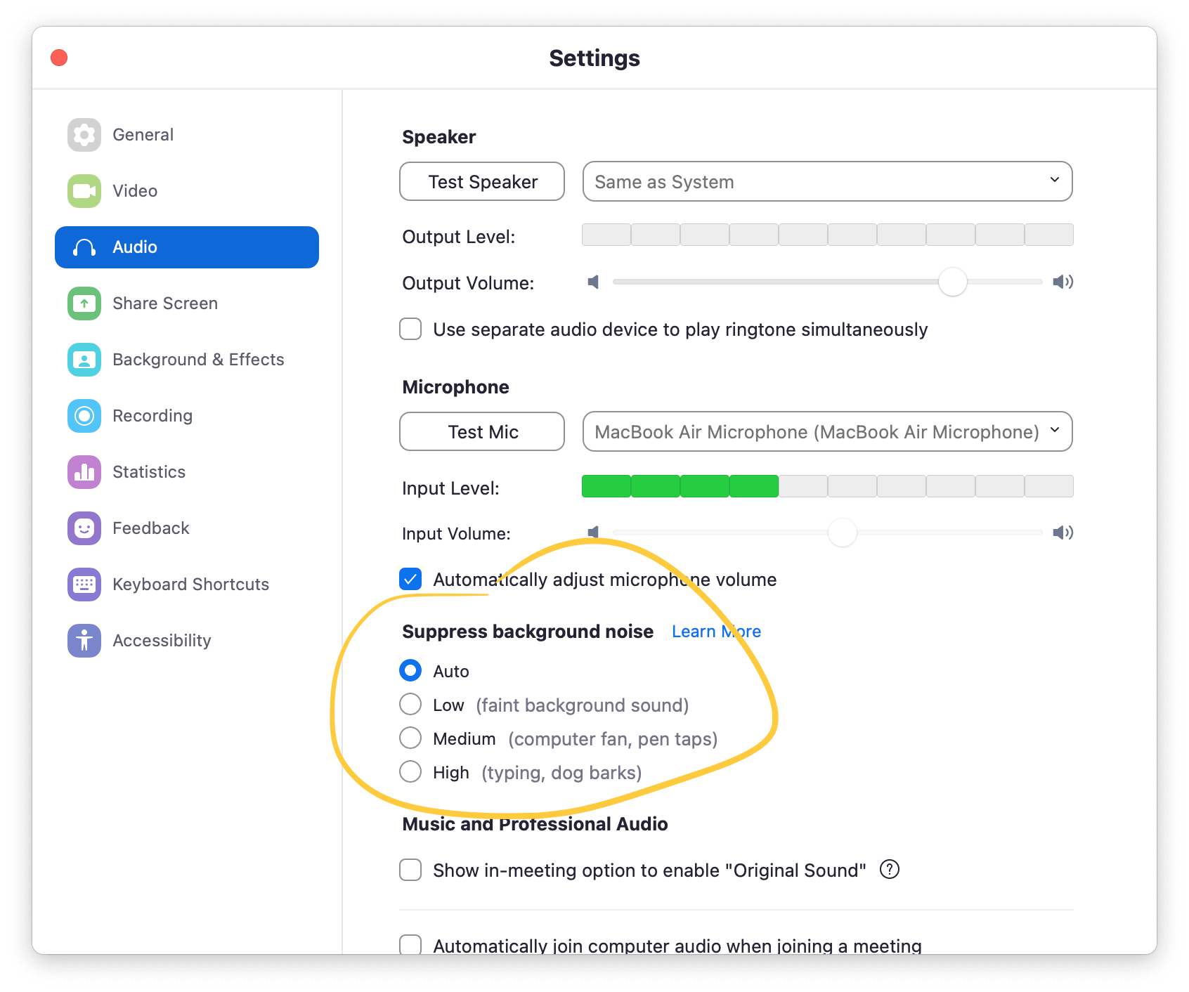 How to reduce background noise during video calls?