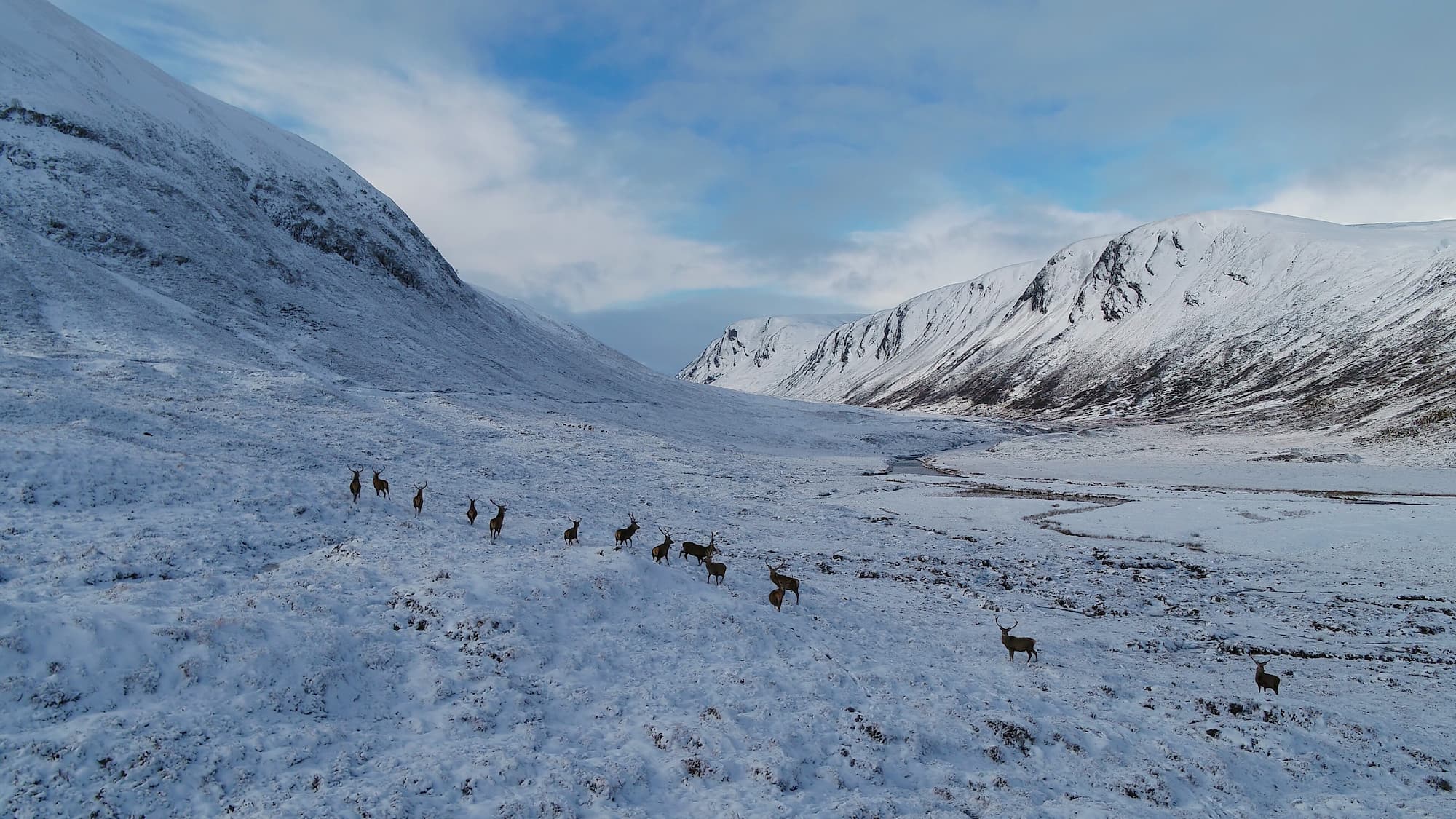 Rewilding: Returning Scotland’s Lost Wilderness