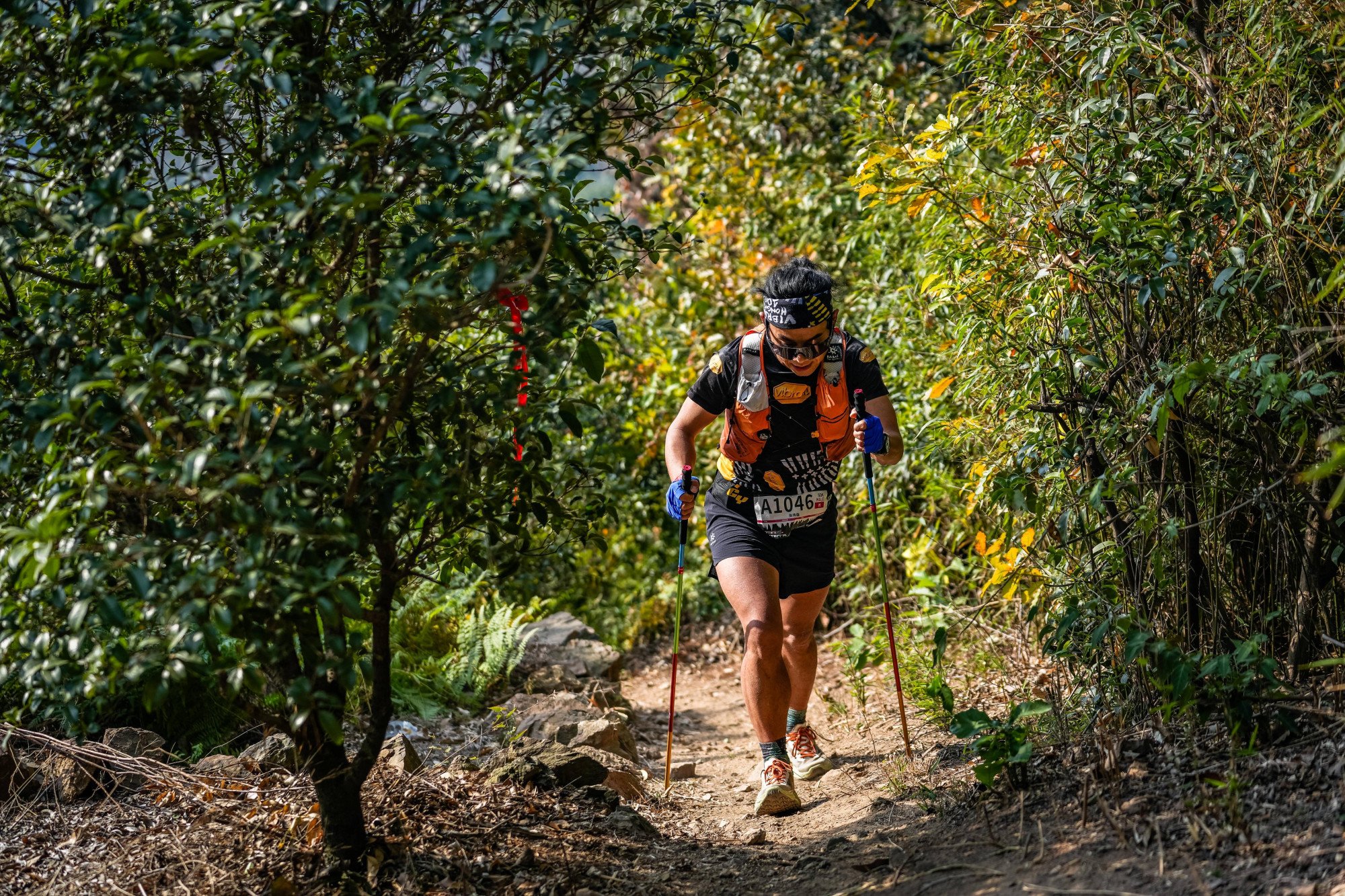 Trail Half Marathon | XTERRA Zhangjiajie Wulingyuan Trail Run Trail ...