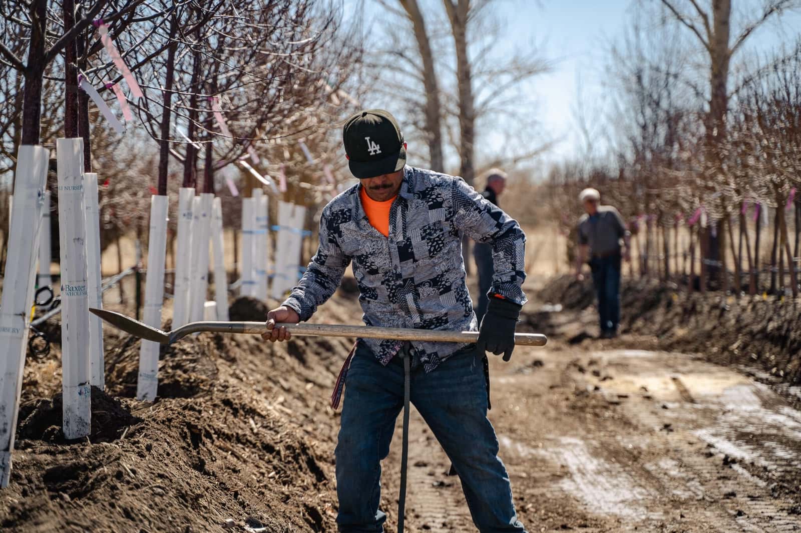 One Stop Shop For Landscapers | Arbor Valley Nursery