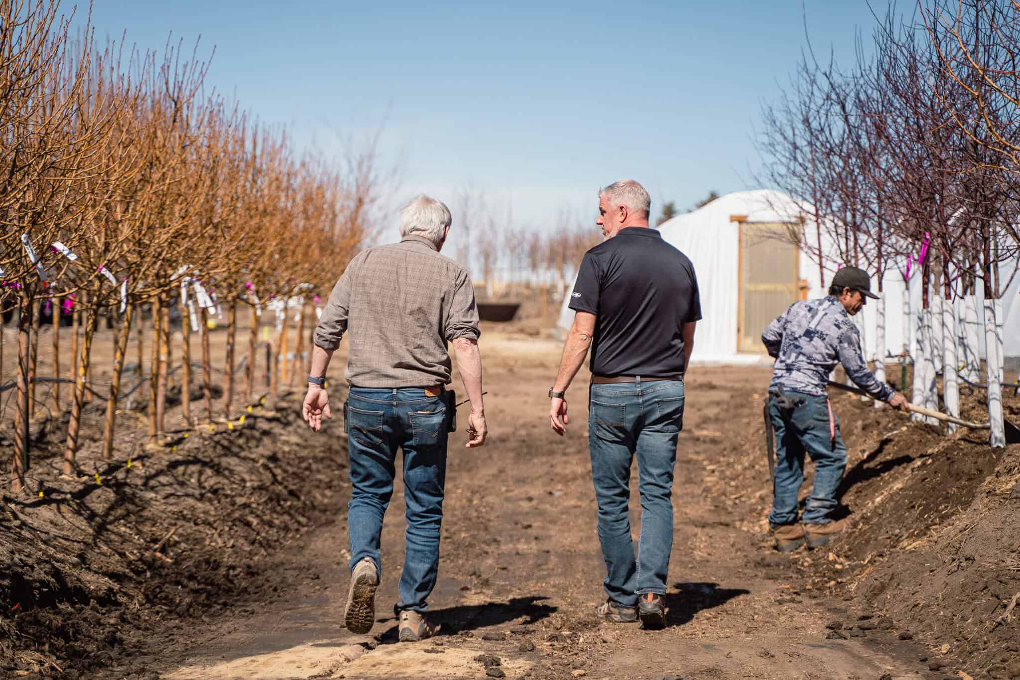One Stop Shop For Landscapers | Arbor Valley Nursery
