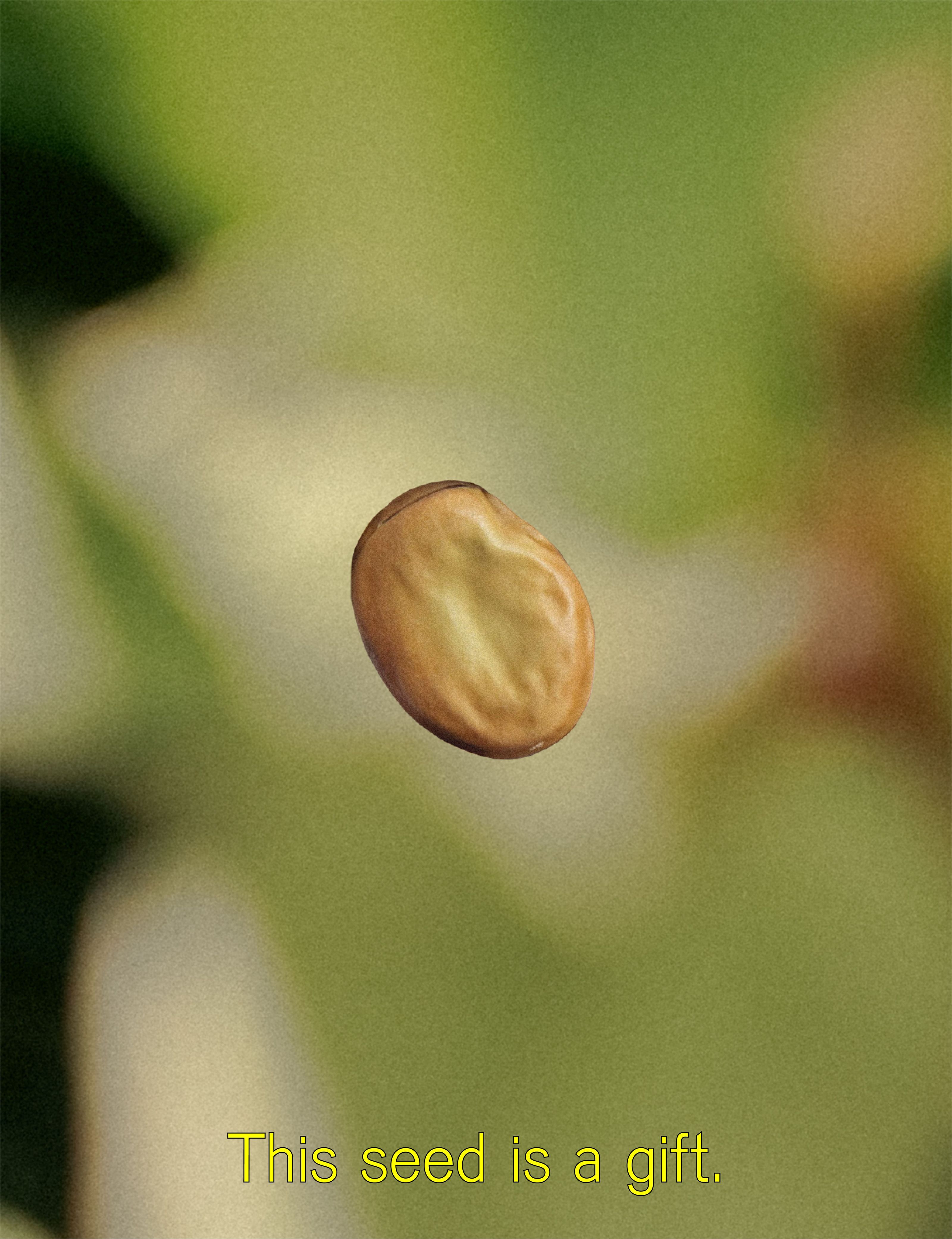 Companion—Platform