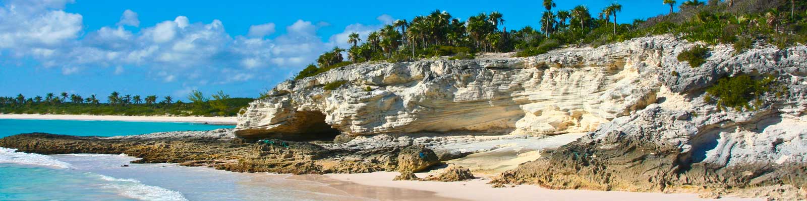 A Slice of Eleuthera - Marinalife