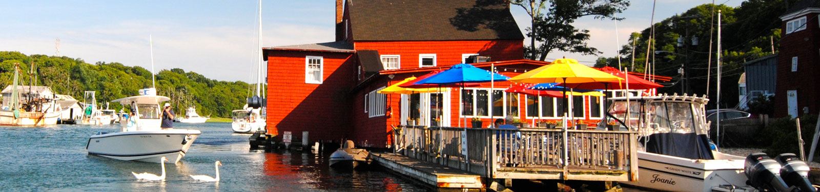 Hidden Gems of the Long Island Sound - Marinalife