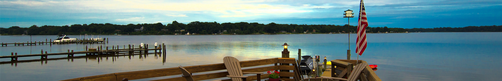 The Chesapeake Bay Eastern Shore - Marinalife