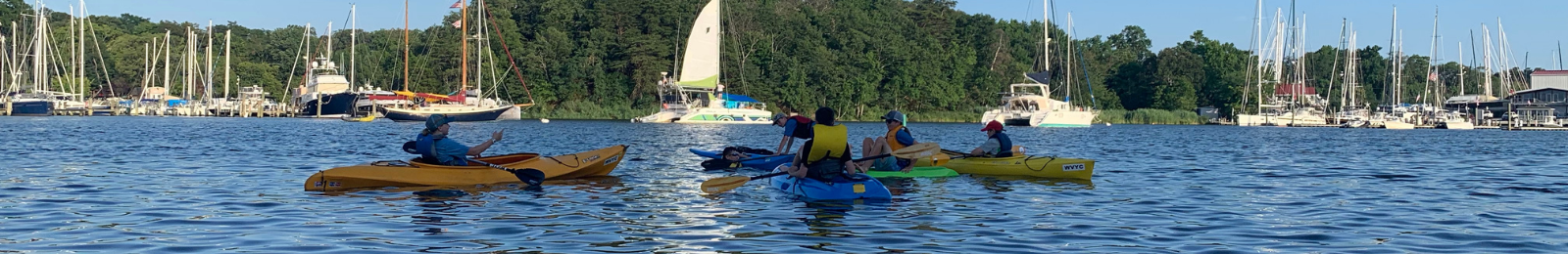 The Seafarers Yacht Club - Marinalife