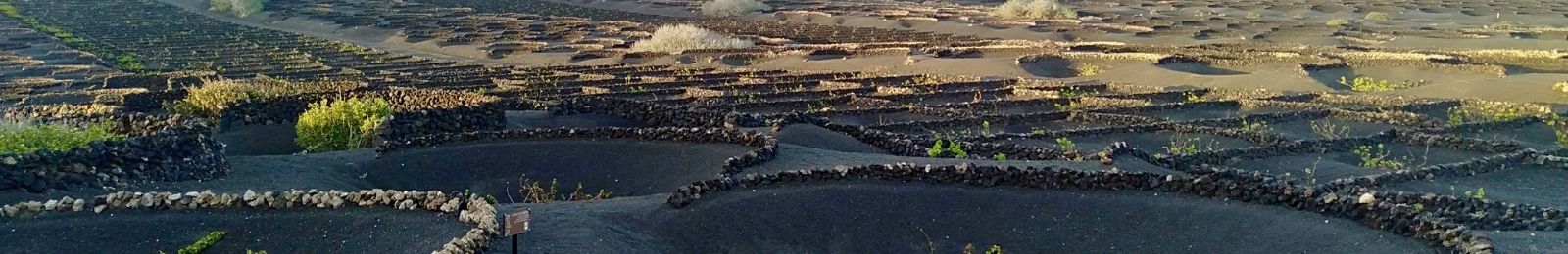 The Blessed Isles: More than Just a Stop Over - Marinalife