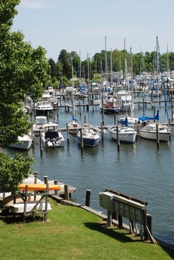 Calvert Marina - Solomons, MD - Marinalife