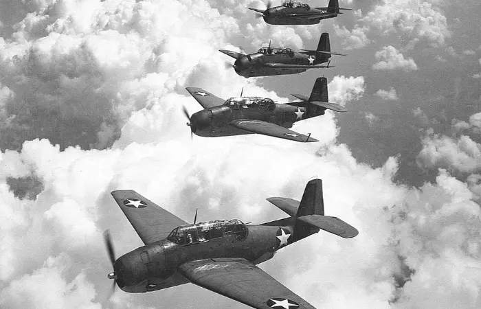 The Mystery of the Bermuda Triangle - Marinalife