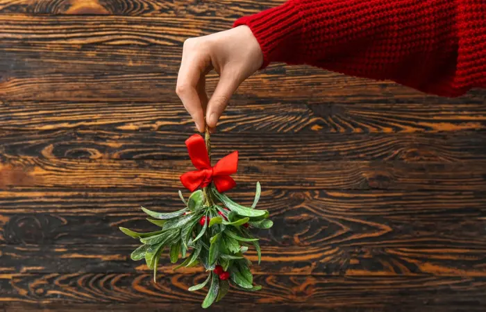 A Toast to Mistletoe, Battleships & a Festive Cocktail - Marinalife