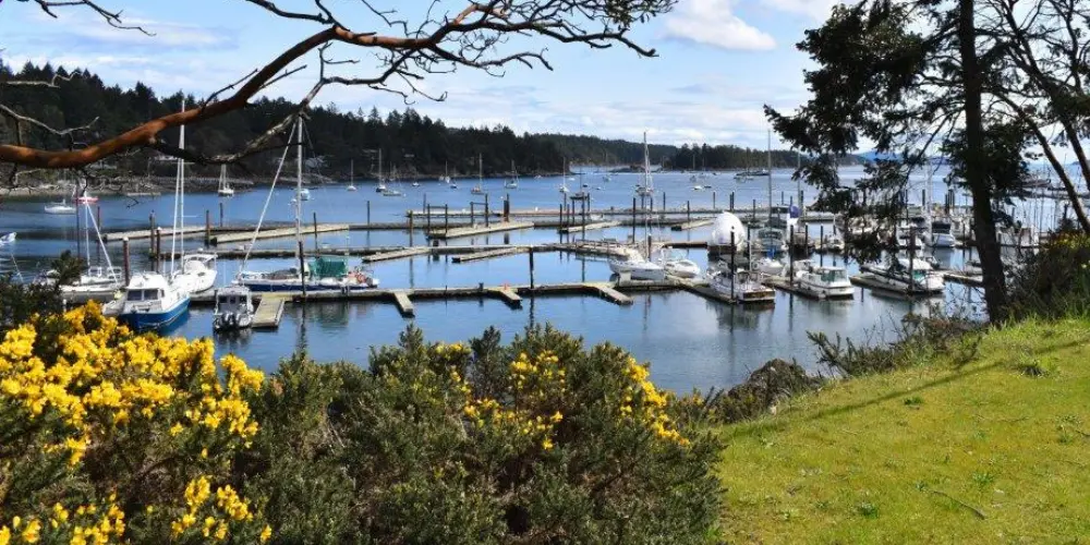 Ganges Marina - Saltspring Island, BC - Marinalife