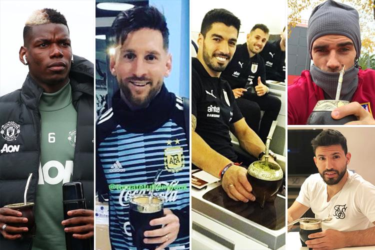 Trà yerba maté và giảm cân | Matéa - Coffee & Yerba Maté