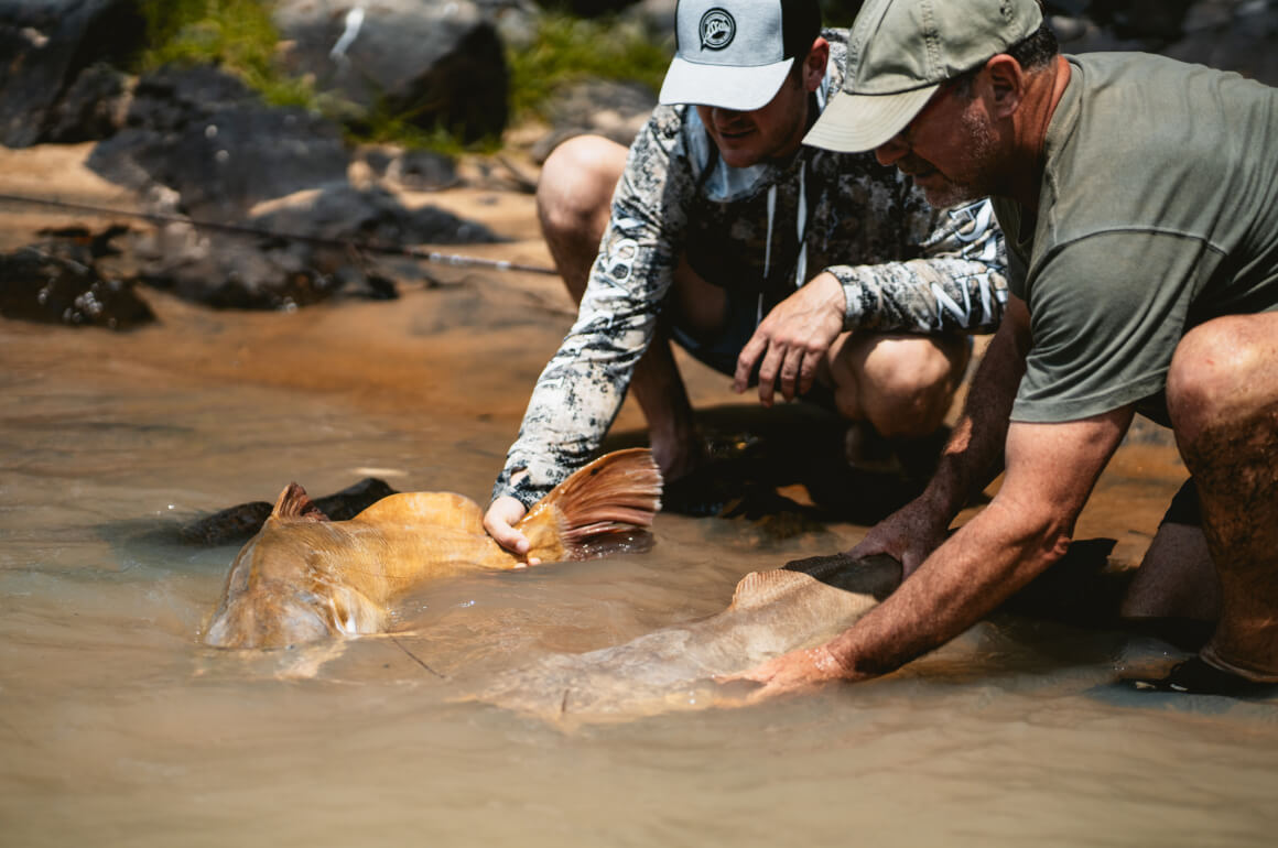 Majestic Rivers - Tanzania's Incredible Fishing